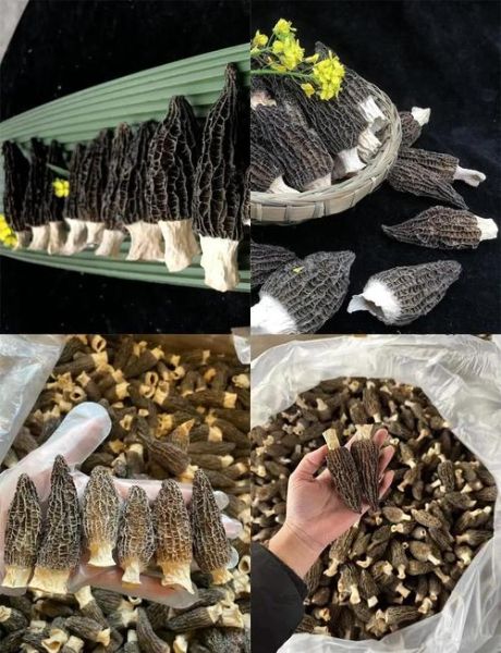 皮肚怎么泡发_皮肚泡发多久才软-第1张图片-山城妙识