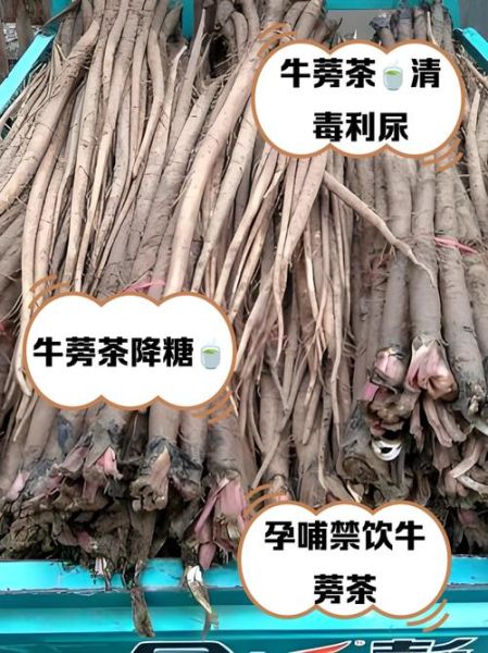 牛蒡茶多少钱一盒_牛蒡茶价格区间是多少-第1张图片-山城妙识 牛蒡茶多少钱一盒_牛蒡茶价格区间是多少-第1张图片-山城妙识