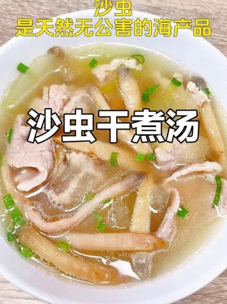 沙虫干瘦肉汤的做法_沙虫干瘦肉汤的功效-第3张图片-山城妙识