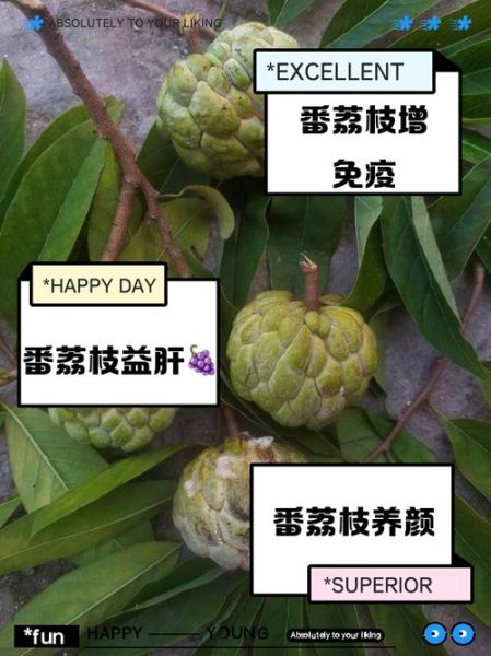 番荔枝怎么吃_番荔枝的功效与作用-第2张图片-山城妙识