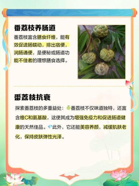 番荔枝怎么吃_番荔枝的功效与作用-第1张图片-山城妙识