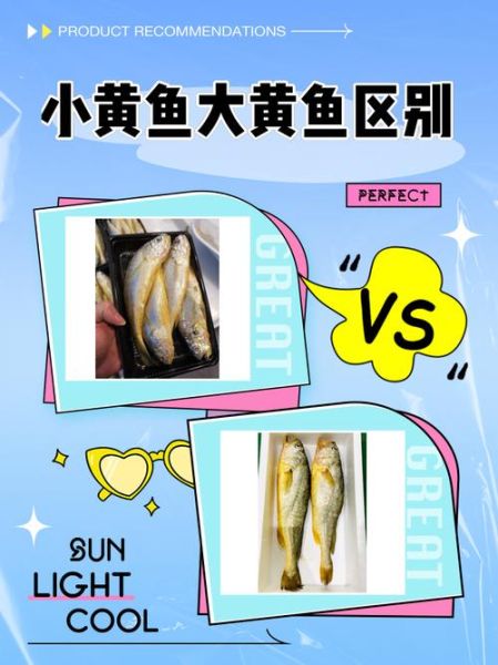 小黄鱼和黄花鱼一样吗_区别与选购指南-第1张图片-山城妙识 小黄鱼和黄花鱼一样吗_区别与选购指南-第1张图片-山城妙识