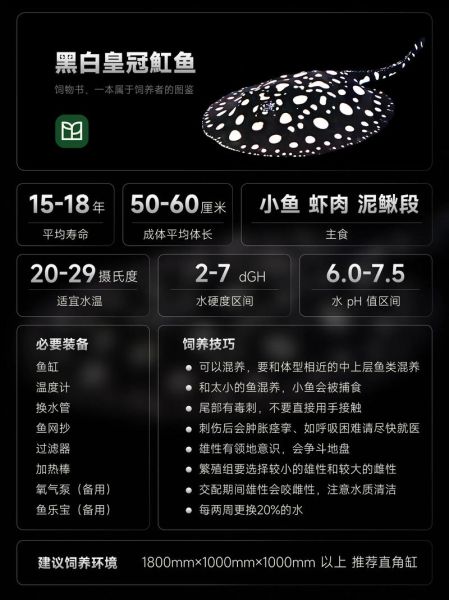 魟鱼怎么养_魟鱼吃什么最好-第1张图片-山城妙识