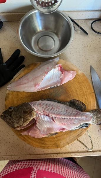 老虎斑鱼价格多少一斤_老虎斑鱼多少钱一斤-第1张图片-山城妙识