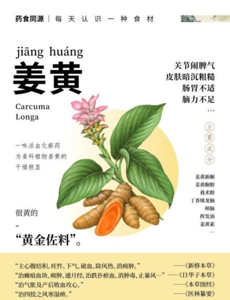 姜黄的功效与作用及禁忌_哪些人不能吃-第1张图片-山城妙识