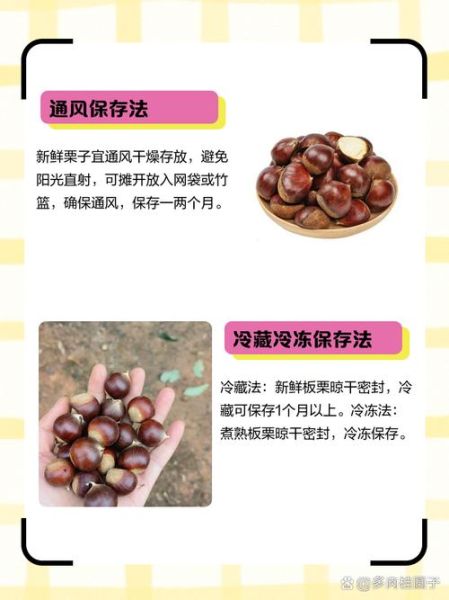 鲜栗子怎么做好吃_鲜栗子去皮技巧-第3张图片-山城妙识 鲜栗子怎么做好吃_鲜栗子去皮技巧-第3张图片-山城妙识