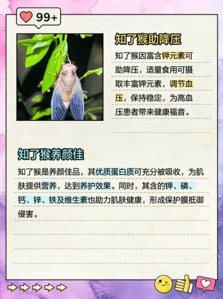 知了猴补肾吗_知了猴壮阳是真的吗-第1张图片-山城妙识 知了猴补肾吗_知了猴壮阳是真的吗-第1张图片-山城妙识