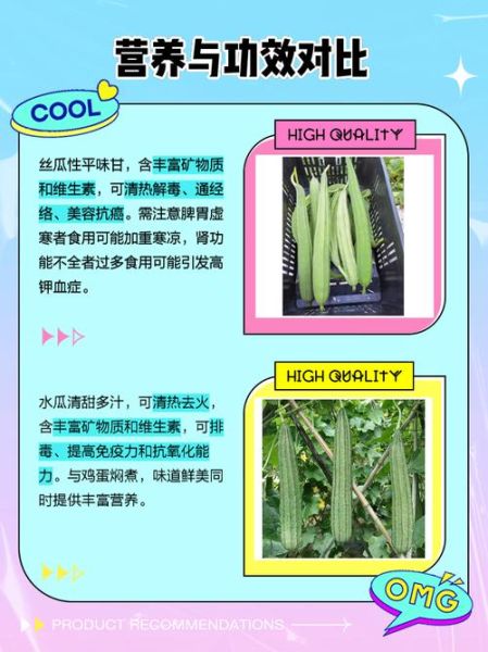 丝瓜和水瓜的区别_丝瓜水瓜哪个更营养-第2张图片-山城妙识 丝瓜和水瓜的区别_丝瓜水瓜哪个更营养-第2张图片-山城妙识