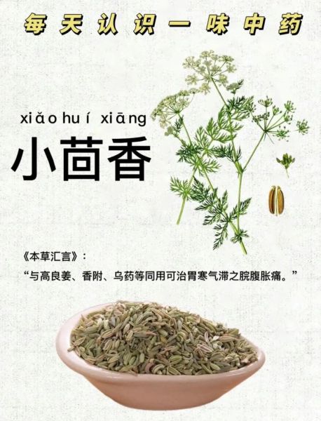 小茴香哪些人不能吃_小茴香禁忌人群-第3张图片-山城妙识