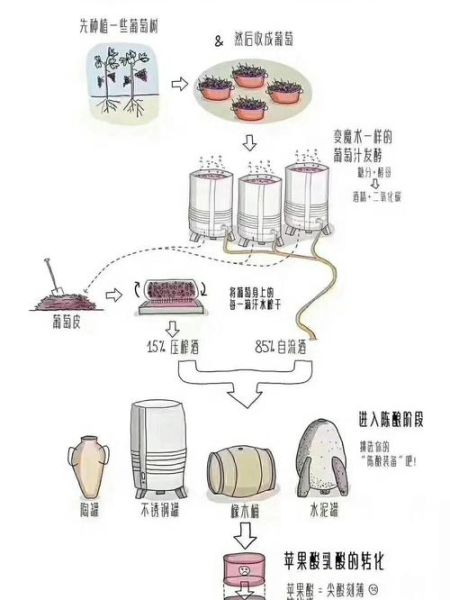 葡萄家庭如何酿酒_自酿葡萄酒步骤-第1张图片-山城妙识