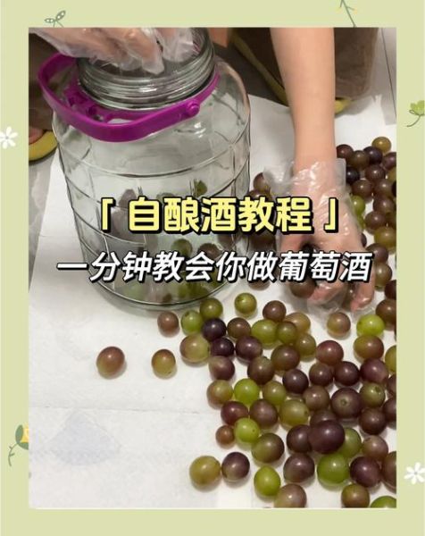 葡萄家庭如何酿酒_自酿葡萄酒步骤-第2张图片-山城妙识