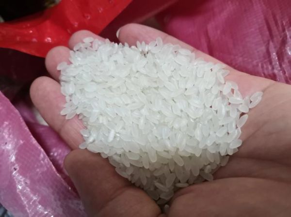 粳米长什么样_粳米图片特征-第1张图片-山城妙识