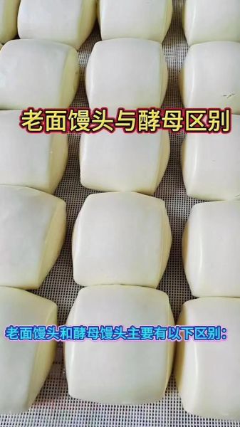 酵母粉蒸馒头怎么做_蒸馒头用酵母粉比例是多少-第2张图片-山城妙识 酵母粉蒸馒头怎么做_蒸馒头用酵母粉比例是多少-第2张图片-山城妙识