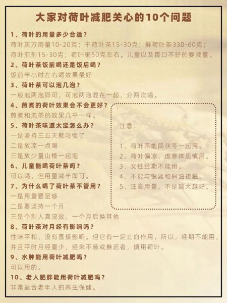 荷叶茶可以减肥吗_荷叶茶减肥原理-第2张图片-山城妙识