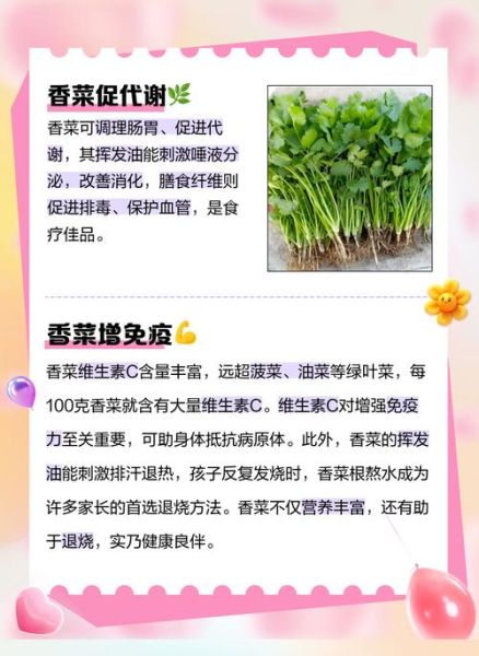 香菜的功效与作用禁忌_什么人不能吃香菜-第3张图片-山城妙识