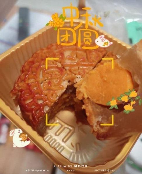 白莲蓉月饼怎么做_白莲蓉月饼哪个牌子好吃-第2张图片-山城妙识