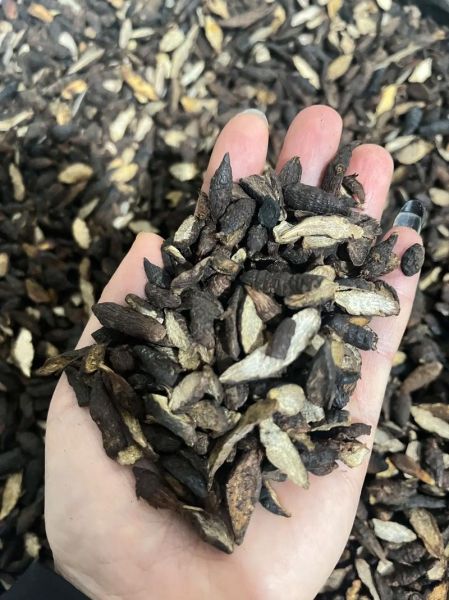 香附的功效与作用_香附怎么吃效果好-第3张图片-山城妙识