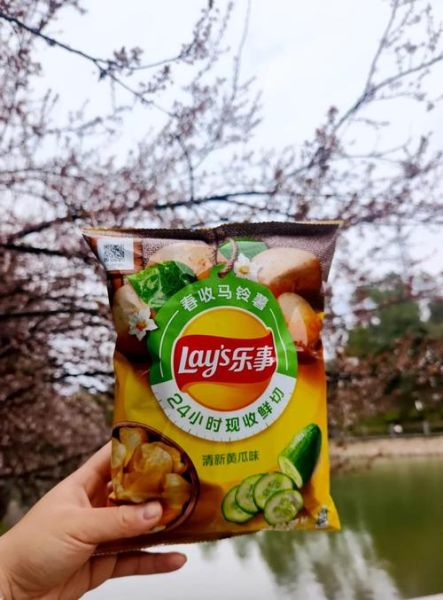 乐事薯片新口味好吃吗_哪里买最划算-第1张图片-山城妙识 乐事薯片新口味好吃吗_哪里买最划算-第1张图片-山城妙识