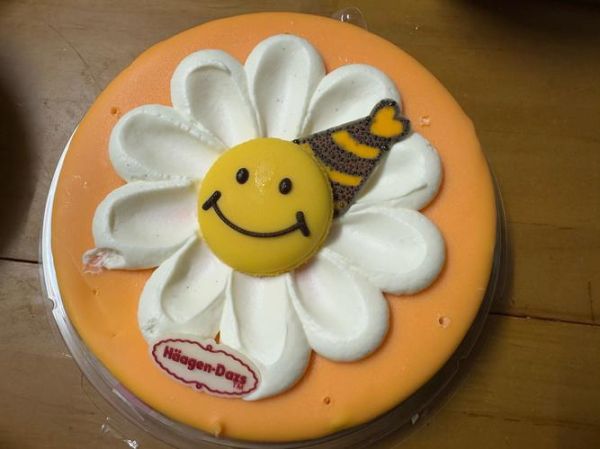 哈根达斯冰淇淋蛋糕好吃吗_值得买吗-第1张图片-山城妙识 哈根达斯冰淇淋蛋糕好吃吗_值得买吗-第1张图片-山城妙识