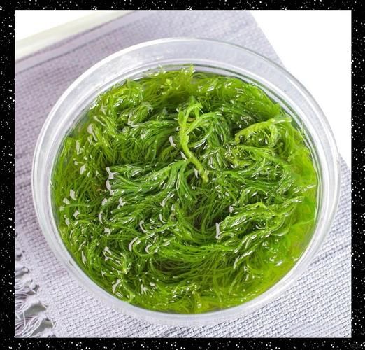 龙须菜正常颜色_龙须菜颜色发黄还能吃吗-第1张图片-山城妙识