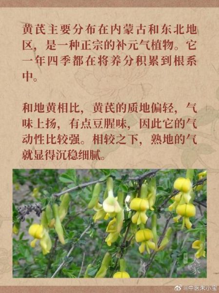 黄芪的功效与作用及食用方法_怎么吃效果最好-第2张图片-山城妙识