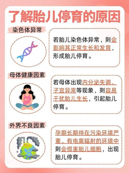 胎停育是什么原因引起的_胎停育最常见的六大原因-第1张图片-山城妙识