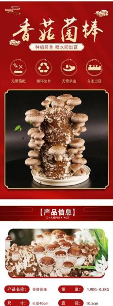 香菇怎么种_香菇种植方法-第2张图片-山城妙识 香菇怎么种_香菇种植方法-第2张图片-山城妙识