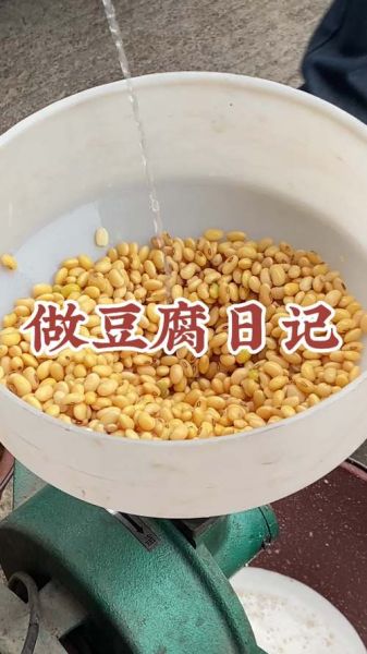 豆腐怎么做_家庭自制豆腐视频教程-第3张图片-山城妙识