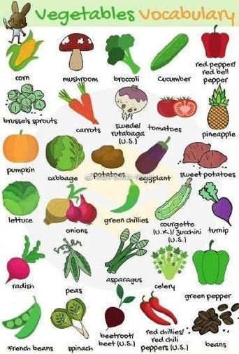 vegetables怎么记_vegetables记忆技巧-第1张图片-山城妙识
