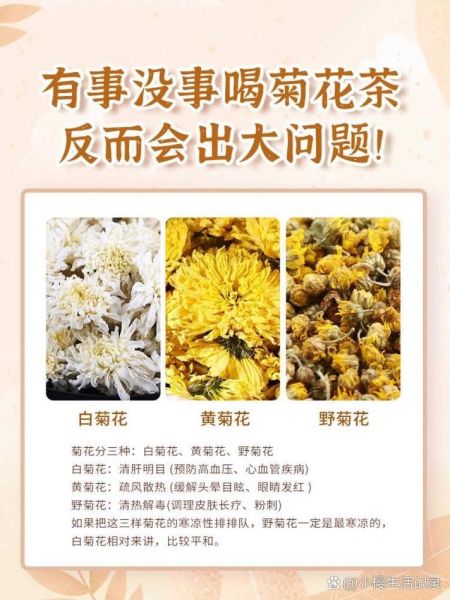 白菊花茶的功效与作用_白菊花茶怎么喝最养肝-第3张图片-山城妙识