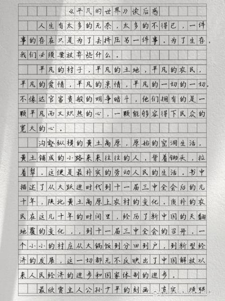 一碗阳春面读后感_为什么平凡故事能打动人心-第1张图片-山城妙识