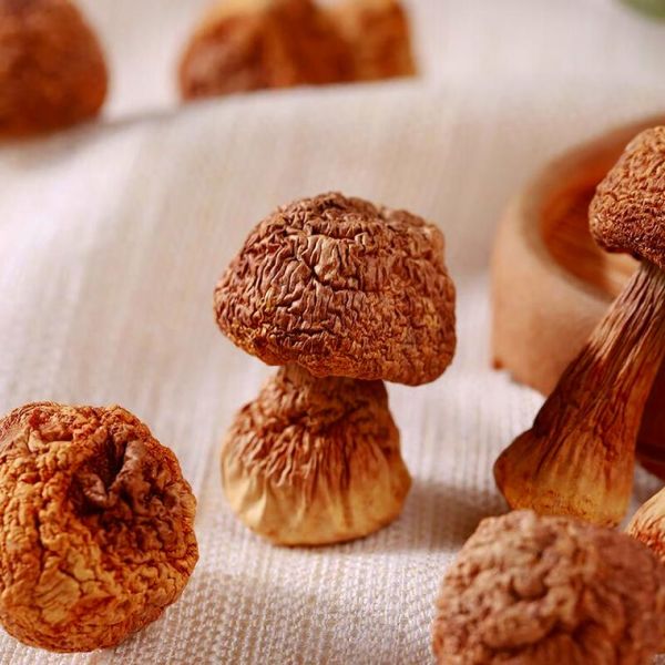 干茶树菇要泡多久_干茶树菇怎么泡发才干净-第2张图片-山城妙识