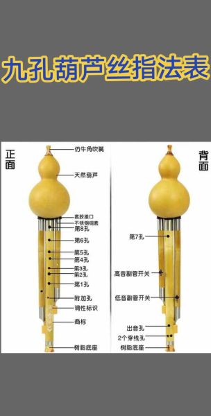 葫芦丝入门指法_初学者怎么学-第1张图片-山城妙识 葫芦丝入门指法_初学者怎么学-第1张图片-山城妙识