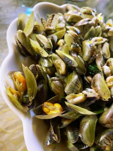 海瓜子高清图片_如何辨别新鲜海瓜子-第1张图片-山城妙识 海瓜子高清图片_如何辨别新鲜海瓜子-第1张图片-山城妙识