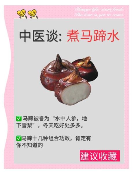 马蹄的营养价值_马蹄的功效与作用-第1张图片-山城妙识