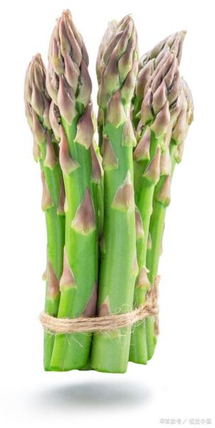 芦笋图片大全哪里找_如何欣赏芦笋高清图-第3张图片-山城妙识