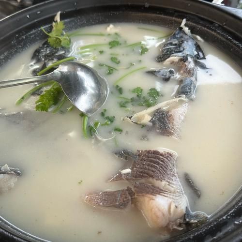 鱼头汤怎么做又浓又白_鱼头汤浓白窍门-第1张图片-山城妙识 鱼头汤怎么做又浓又白_鱼头汤浓白窍门-第1张图片-山城妙识