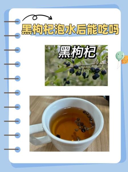 黑枸杞泡水喝的功效与作用_黑枸杞怎么喝才正确-第1张图片-山城妙识
