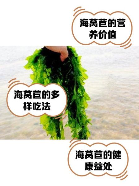 海莴苣怎么做好吃_海莴苣营养价值高吗-第1张图片-山城妙识