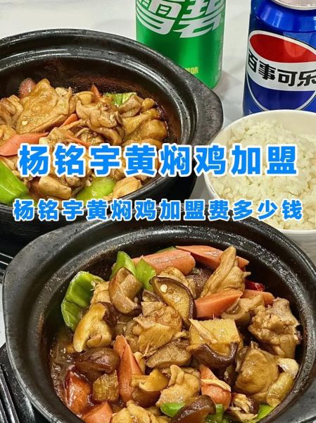 黄焖鸡米饭加盟费用多少钱_杨铭宇加盟费明细-第2张图片-山城妙识