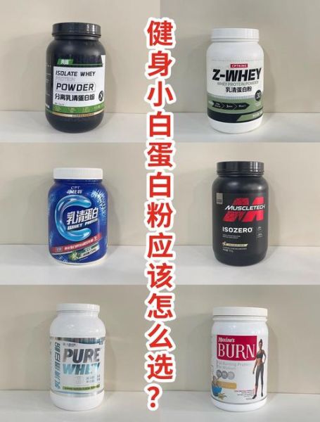 蛋白粉的功效与作用适合什么人吃_健身小白能吃吗-第3张图片-山城妙识