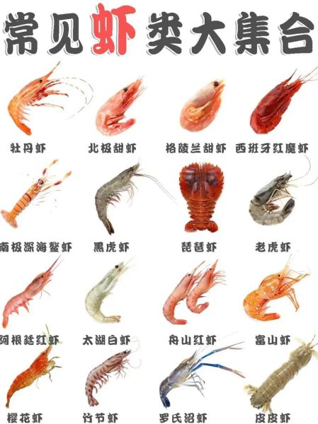 淡水虾有哪些品种图片_淡水虾品种大全及名称-第1张图片-山城妙识