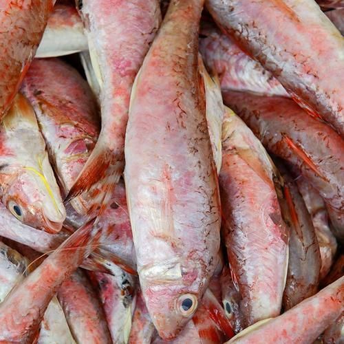 红糟鱼怎么做_红糟鱼的营养价值-第2张图片-山城妙识