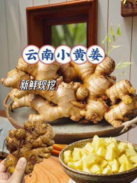 黄姜价格多少钱一斤_黄姜最新行情-第3张图片-山城妙识 黄姜价格多少钱一斤_黄姜最新行情-第3张图片-山城妙识