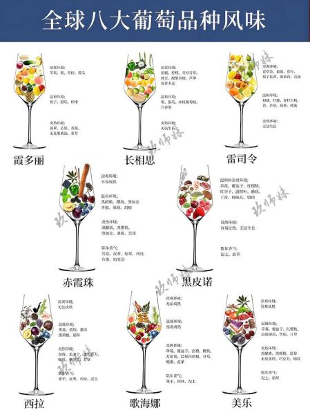 葡萄酒怎么酿_自酿葡萄酒需要哪些材料-第2张图片-山城妙识