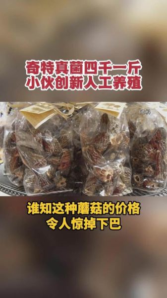 东北红蘑菇多少钱一斤_东北红蘑菇价格行情-第3张图片-山城妙识