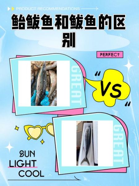鲐鲅鱼和鲅鱼的区别_怎么分辨-第1张图片-山城妙识 鲐鲅鱼和鲅鱼的区别_怎么分辨-第1张图片-山城妙识