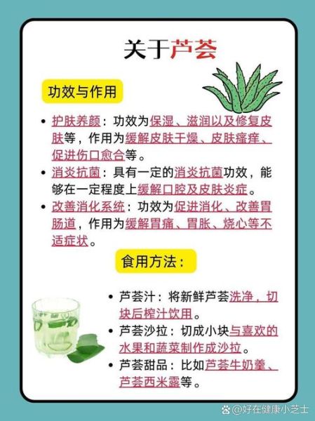 上农大叶芦荟怎么养_上农大叶芦荟功效与作用-第1张图片-山城妙识