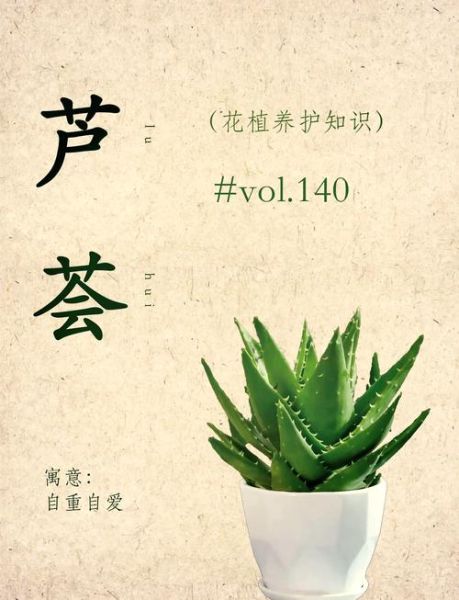 上农大叶芦荟怎么养_上农大叶芦荟功效与作用-第2张图片-山城妙识