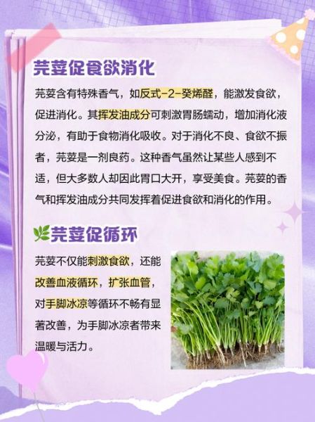 芫荽什么人不能吃_芫荽的副作用与禁忌-第2张图片-山城妙识